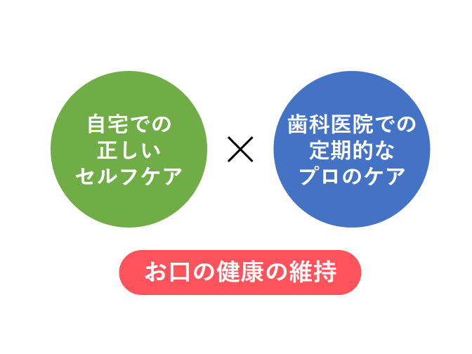 予防歯科(メインテナンス)|愛媛県の馬越歯科医院|虫歯・歯周病・小児歯科